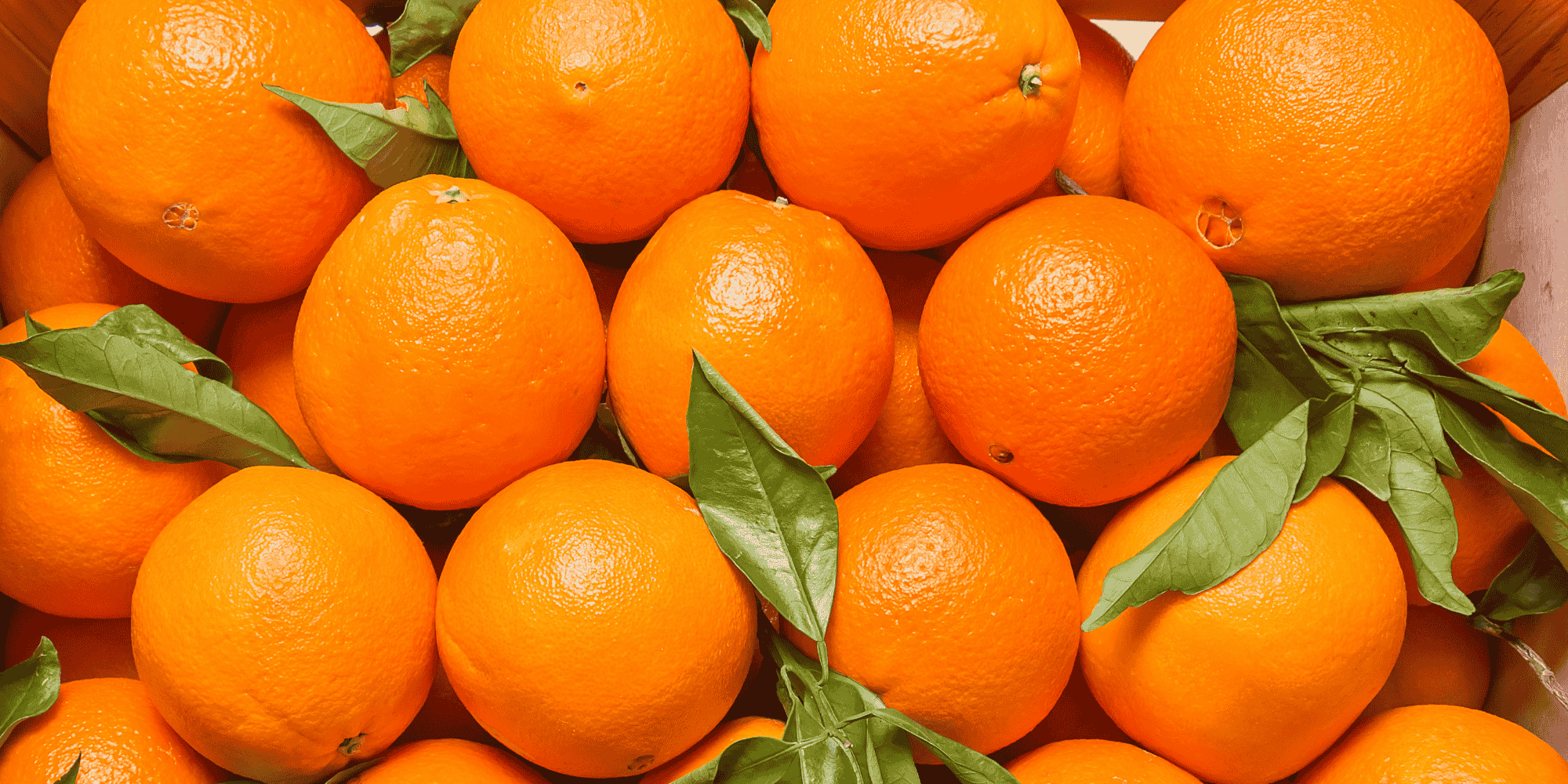 Seville Oranges for Marmalade – Parrish Farms