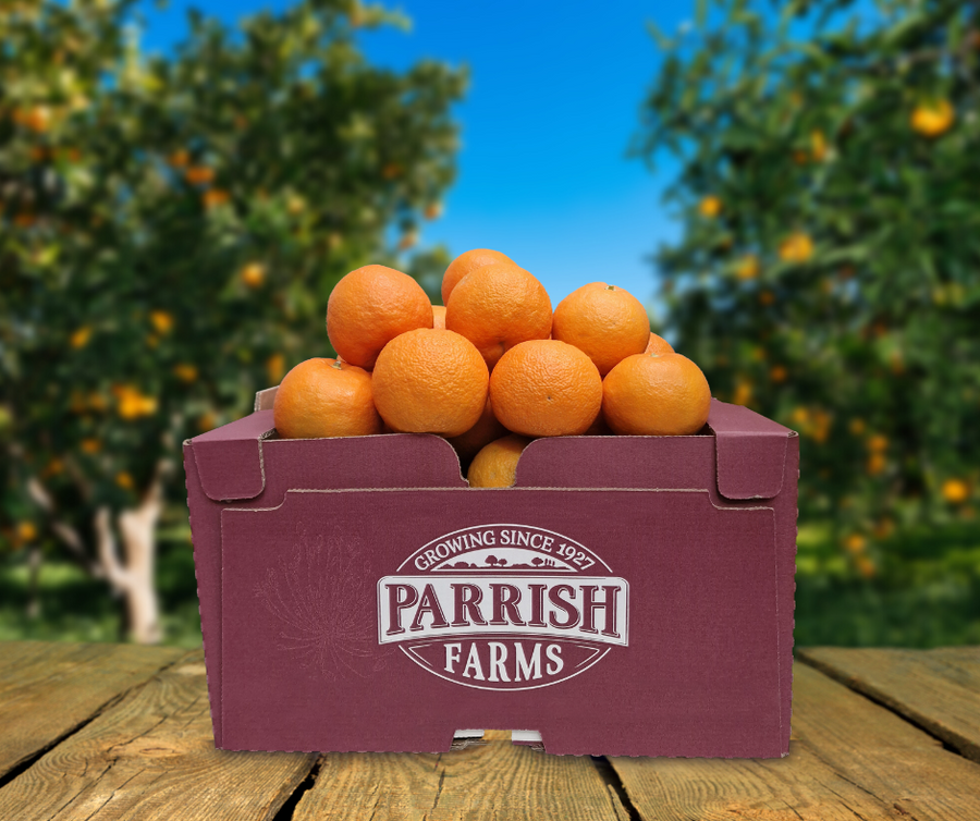Seville Oranges for Marmalade – Parrish Farms